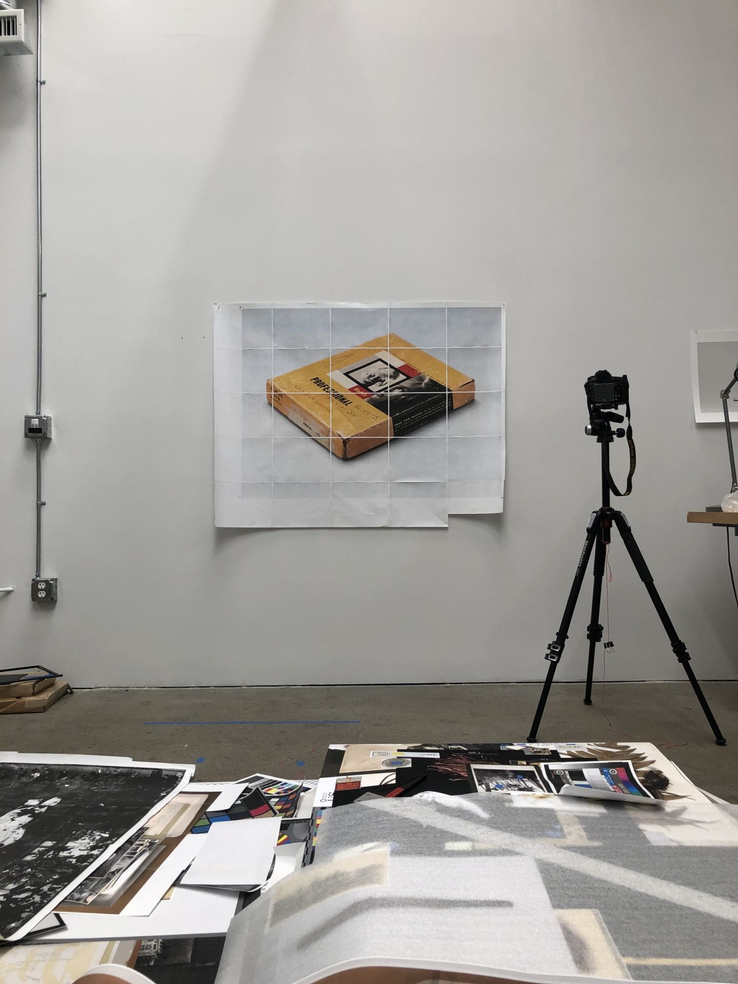 Stephanie Syjuco: Archival Investigations - RYAN LEE Gallery
