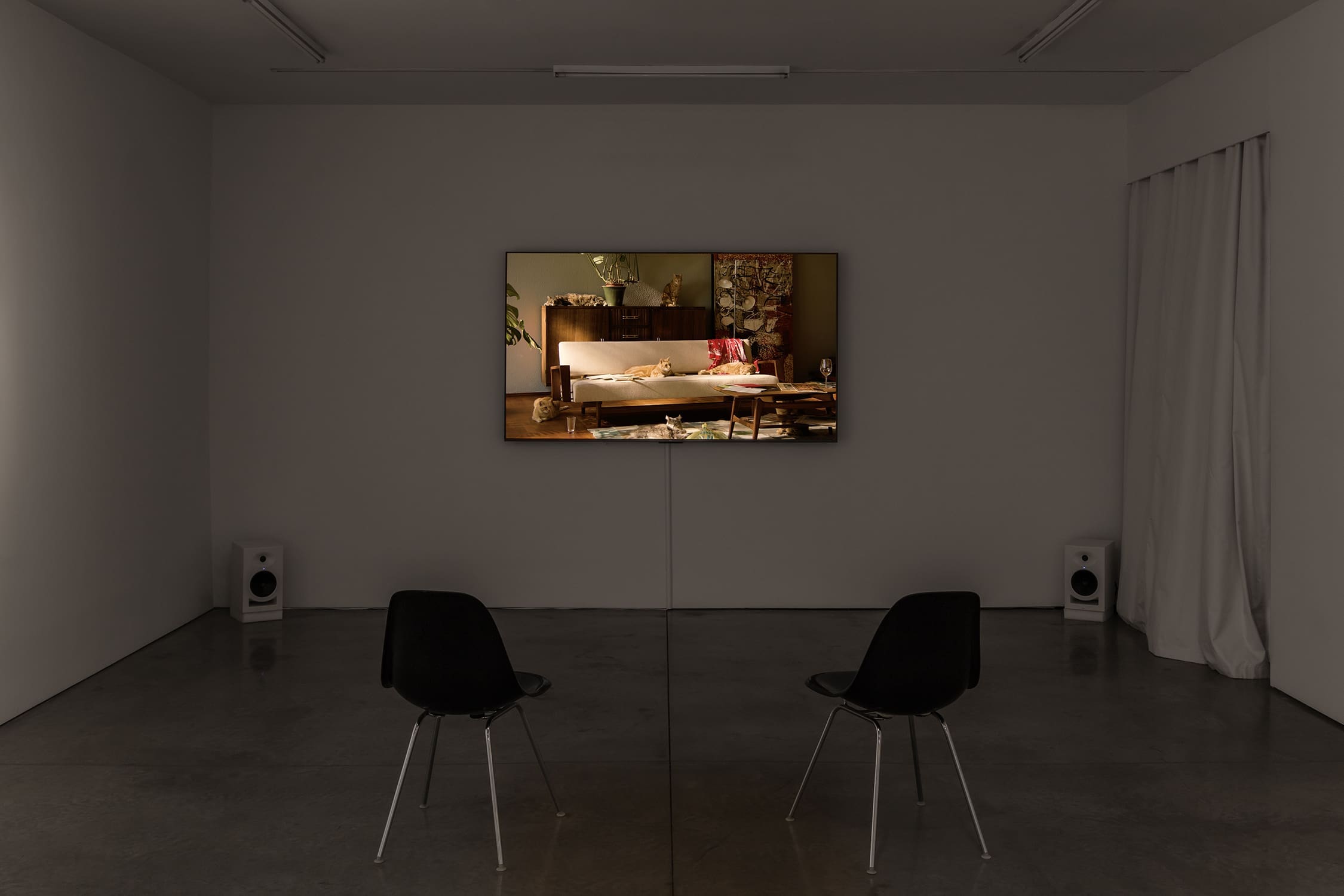 Gabriel Lester: Dig It - RYAN LEE Gallery