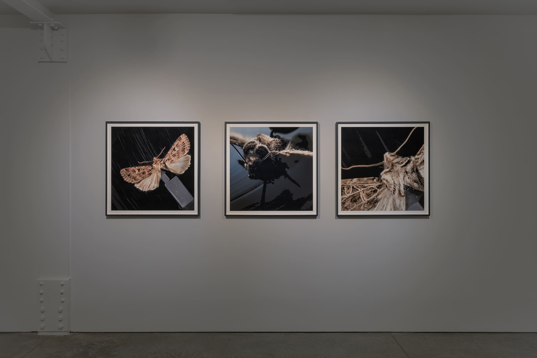 Gabriel Lester: Dig It - RYAN LEE Gallery