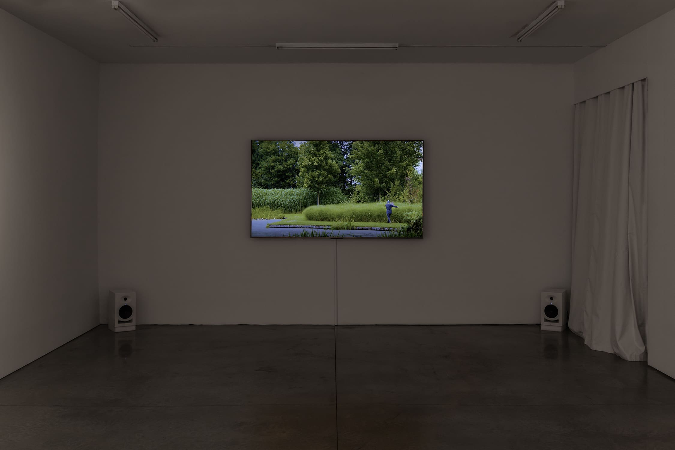Gabriel Lester: Dig It - RYAN LEE Gallery