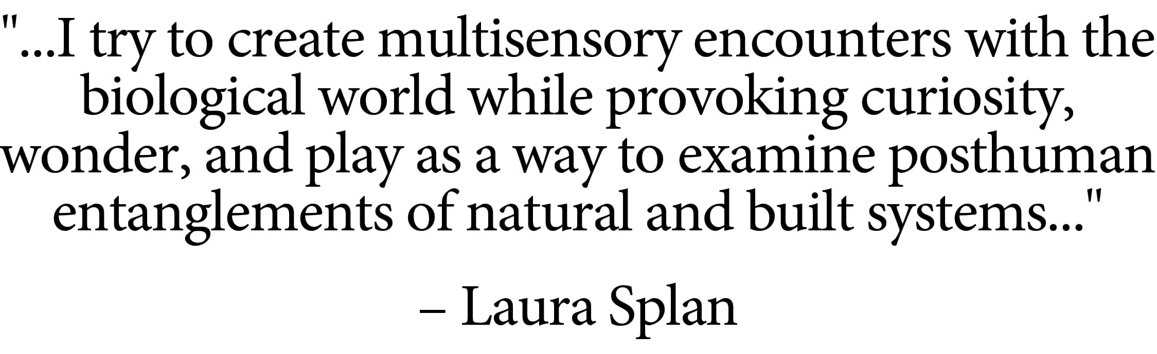 Laura Splan: Hypertelic - RYAN LEE Gallery